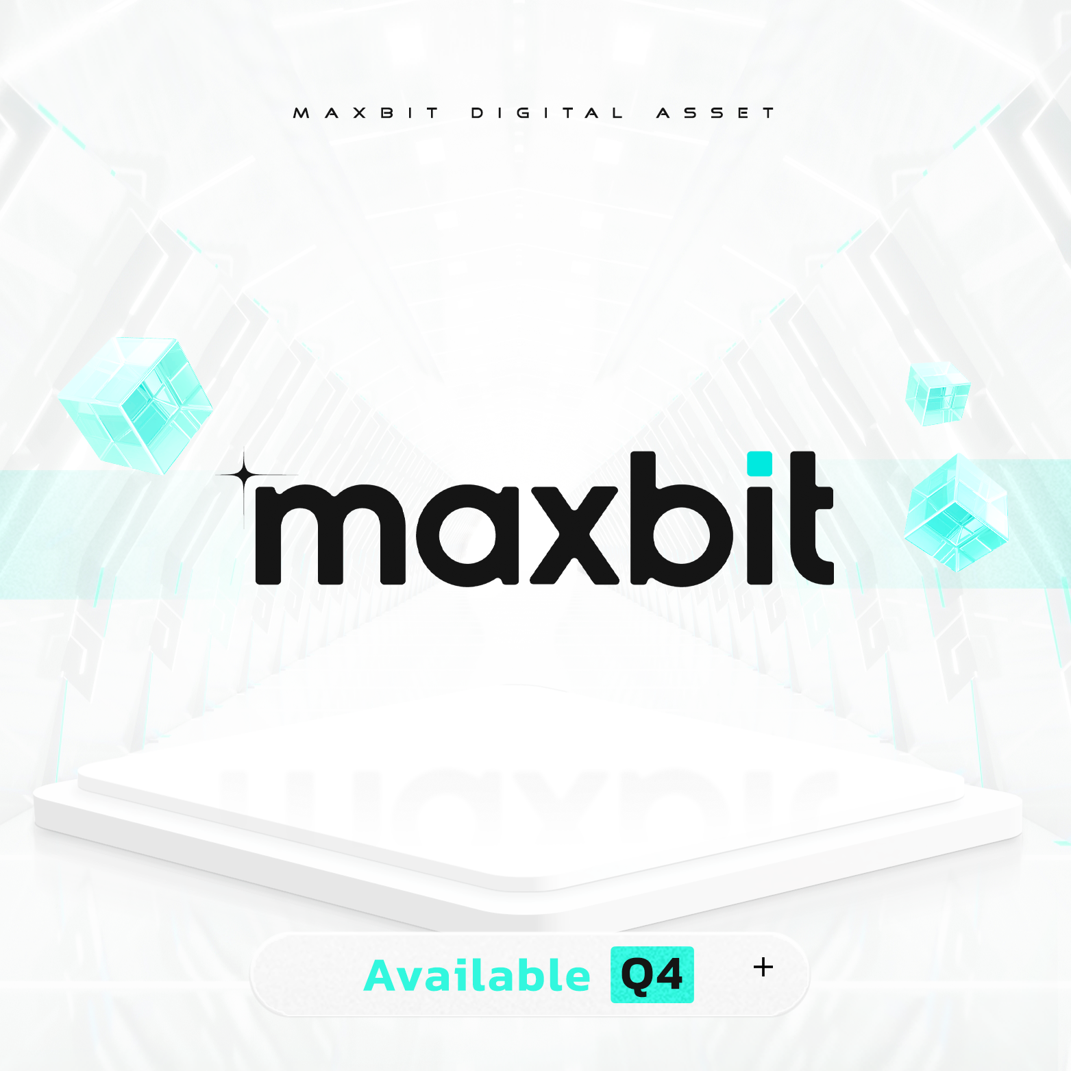 Maxbit